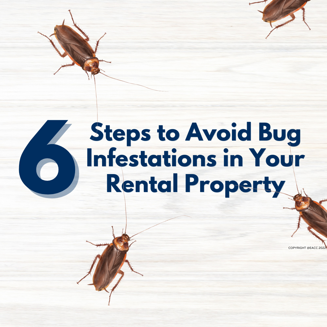 How to Avoid Bug Infestations in Your Rental Property - Rochills Estate ...