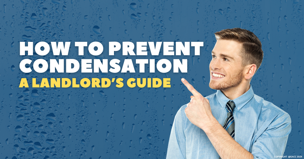 How to Prevent Condensation – A Landlord’s Guide - Rochills Estate Agents